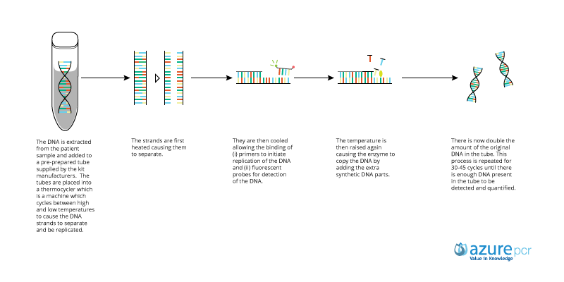 What is qPCR? | Azure PCR